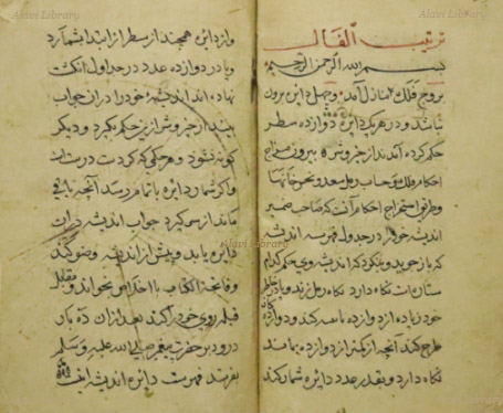 Alavi Bohras - Introduction - Language